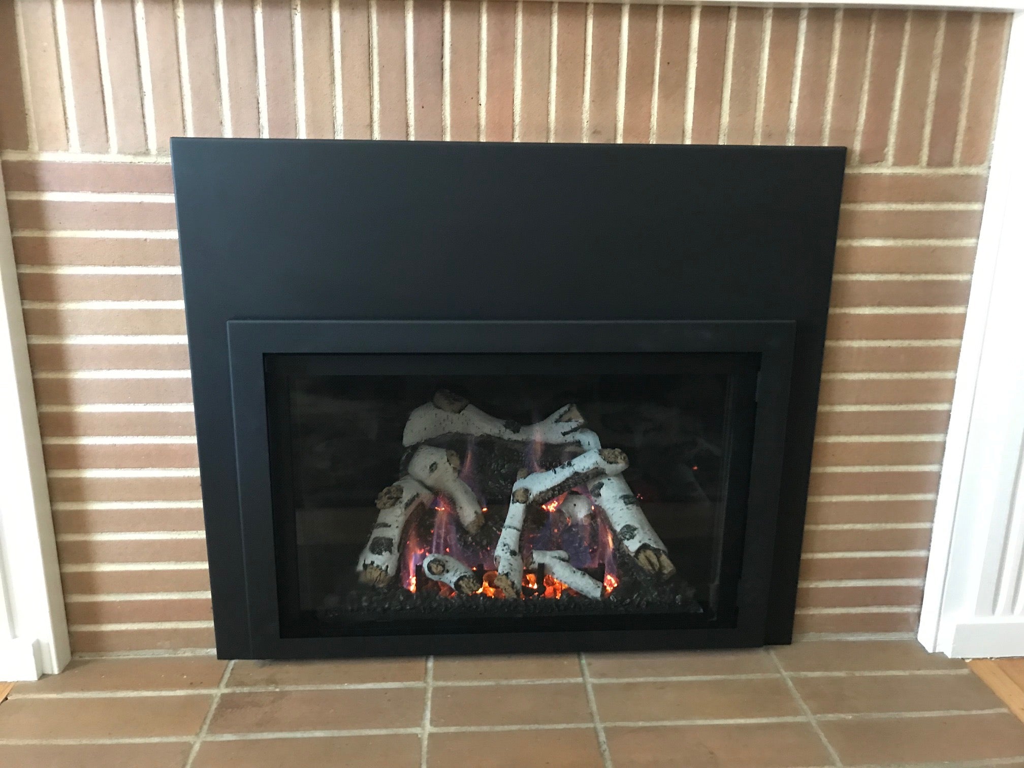 Roosevelt 29 Gas Insert – Custom Fireside